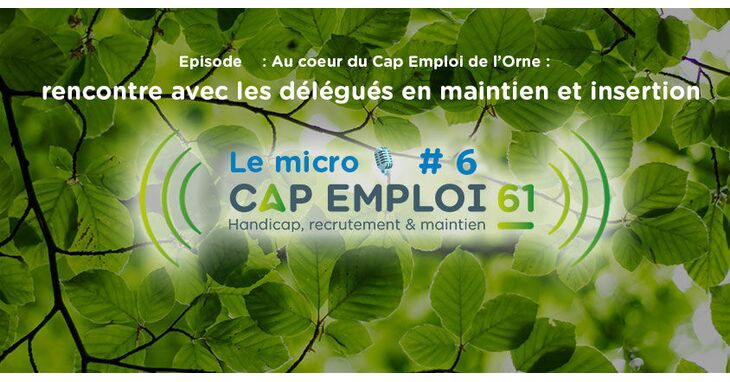 Au coeur de Cap Emploi : rencontre avec les délégués en maintien et insertion - Cap emploi 61